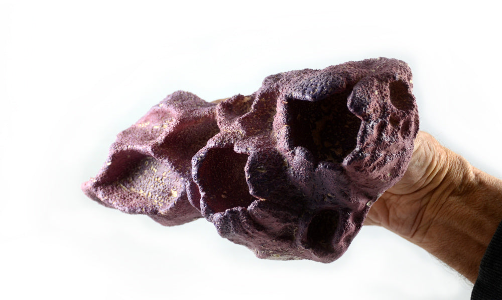 Large Magnetic Barnacle – Aqua-Tecture