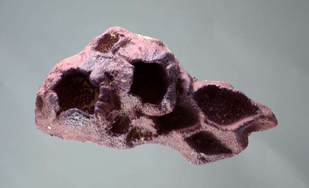 Large Magnetic Barnacle – Aqua-Tecture