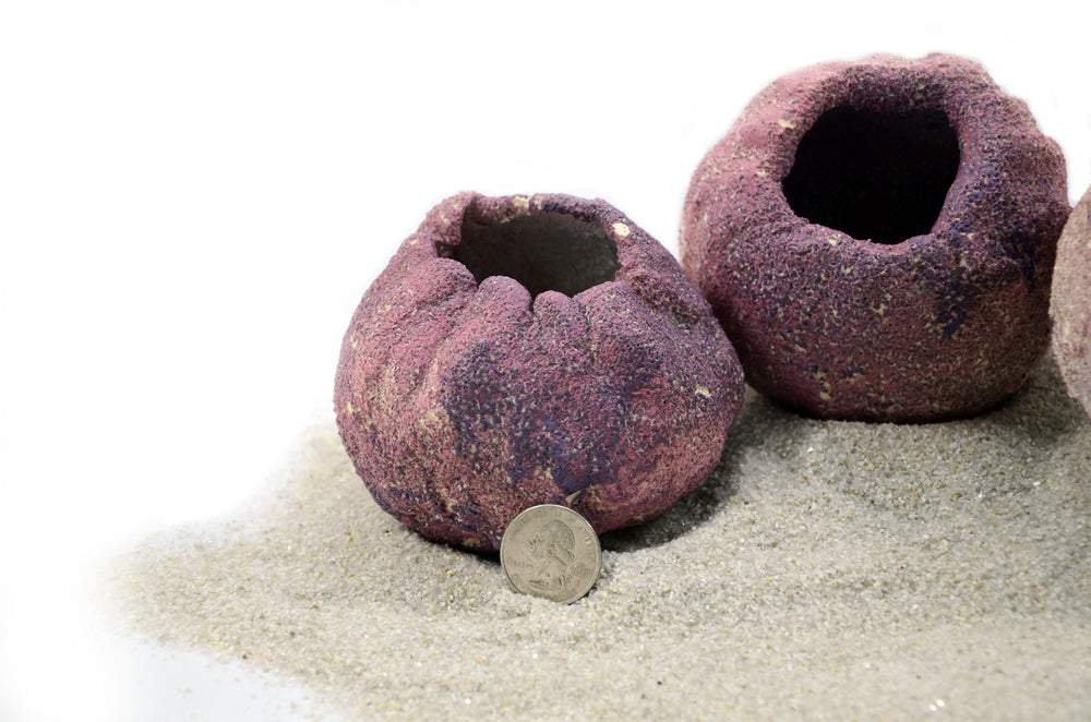 VidaRock Barnacle- Large 3 Pack – Aqua-Tecture