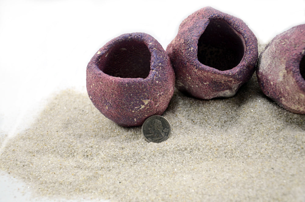 VidaRock Barnacle- Small 3 Pack – Aqua-Tecture