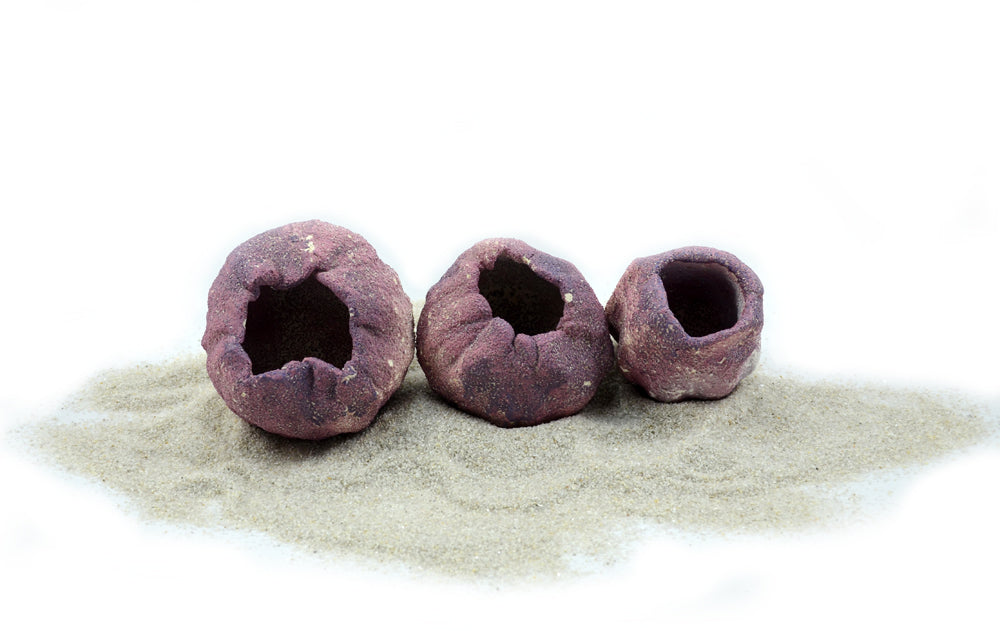 VidaRock Barnacle- Assorted Size 3 Pack – Aqua-Tecture