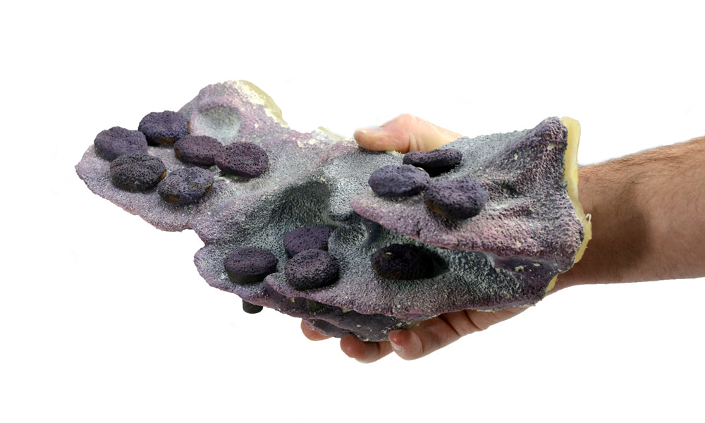 Large Magnetic Shelf Frag Station - 12 Hole – Aqua-Tecture