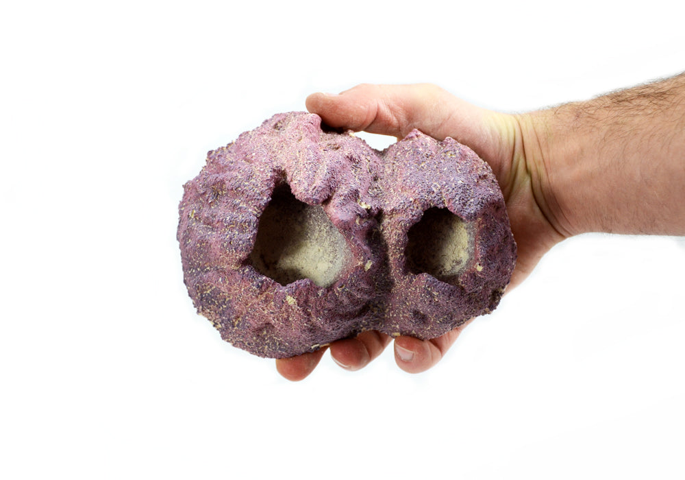 Small Magnetic Barnacle – Aqua-Tecture